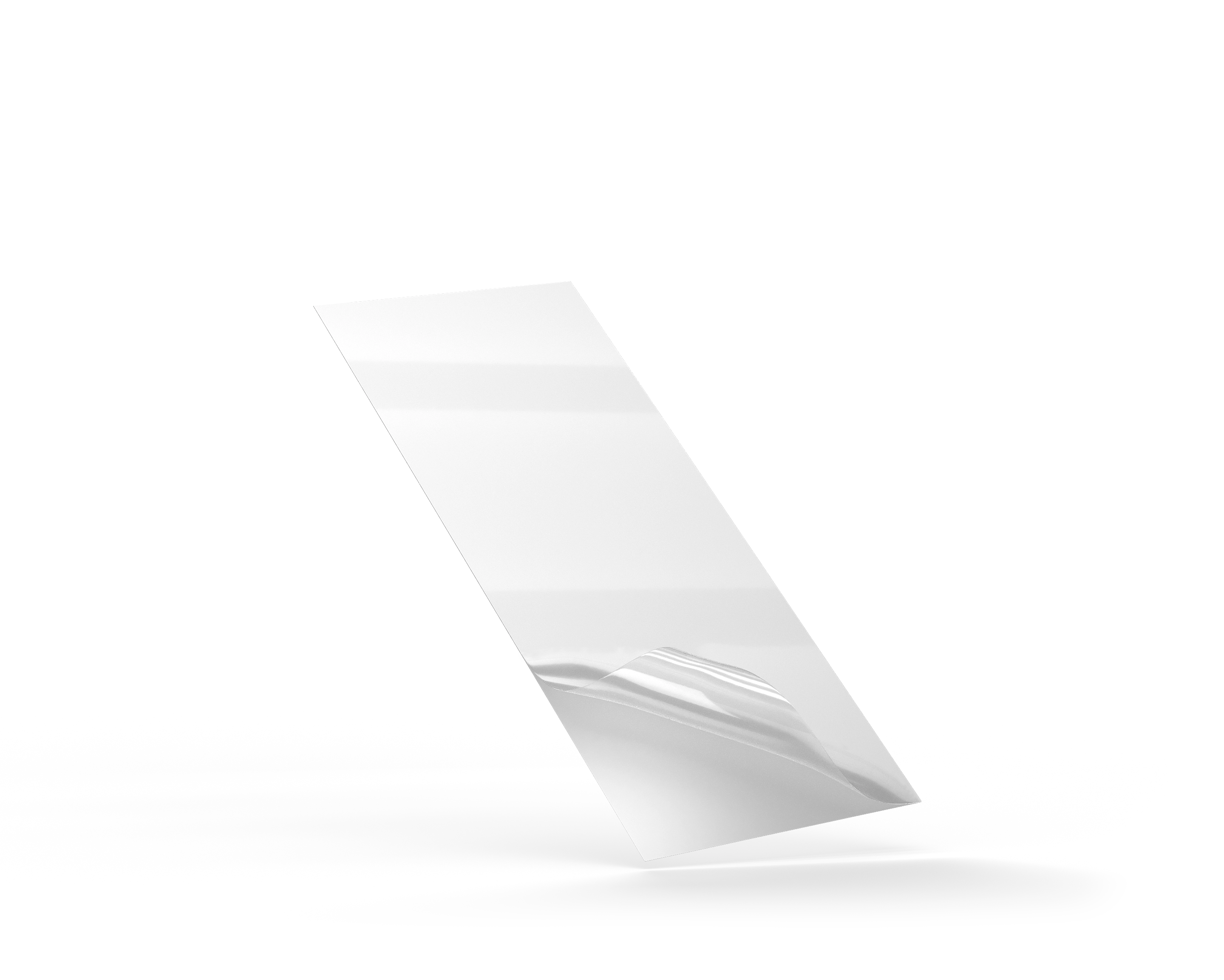 Scratch Guard – Pawport